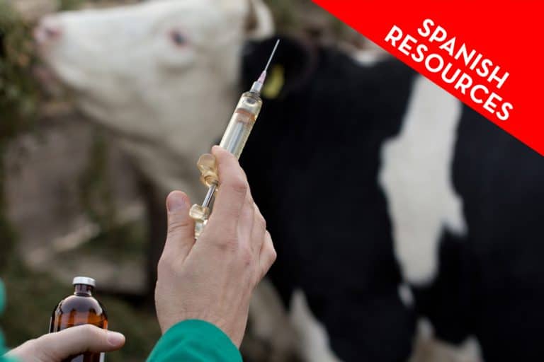 Farm Safety Check: Sharps Handling Safety - Upper Midwest Agricultural ...